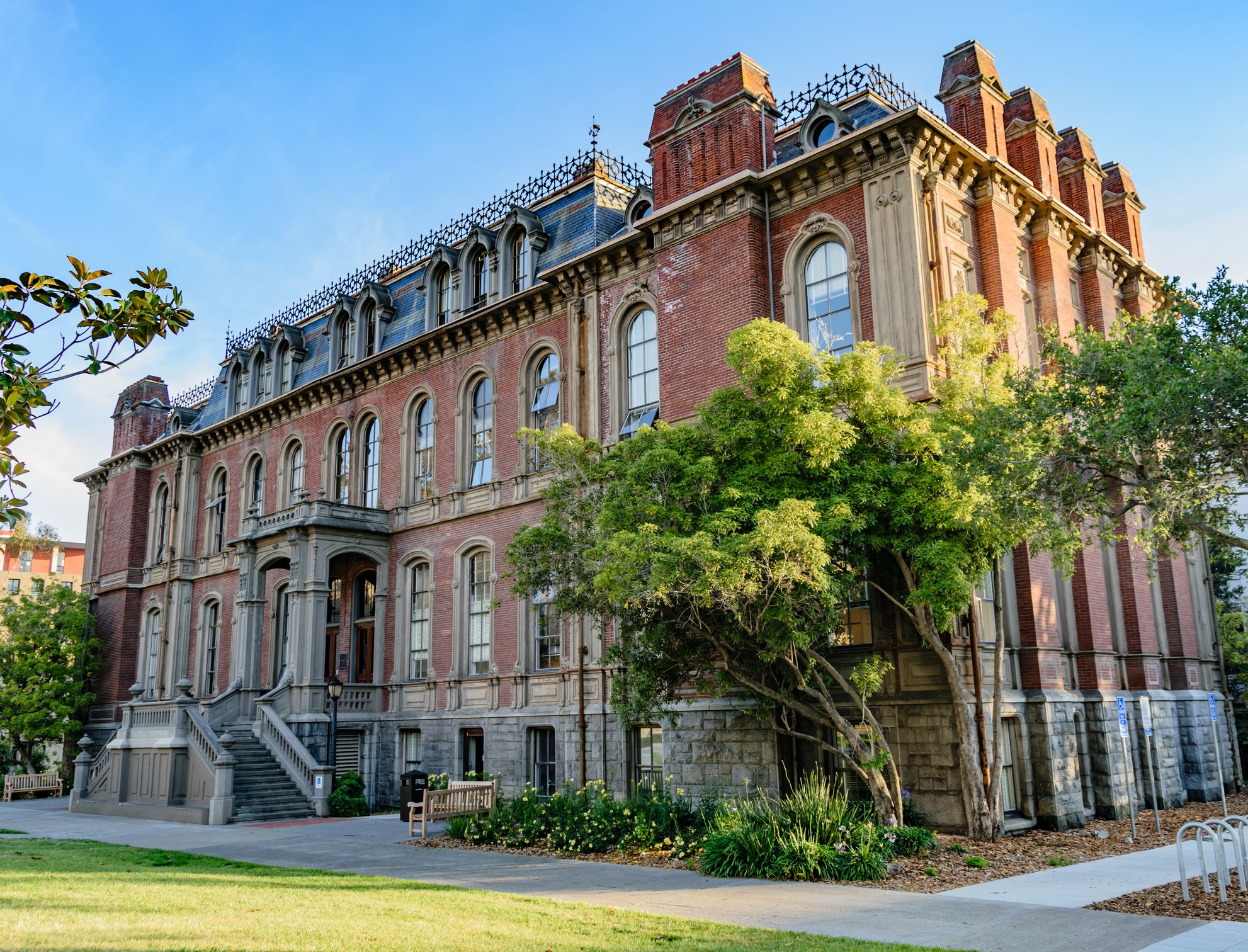 10 Things To Do In Berkeley: Complete Guide To Living Like A College Local