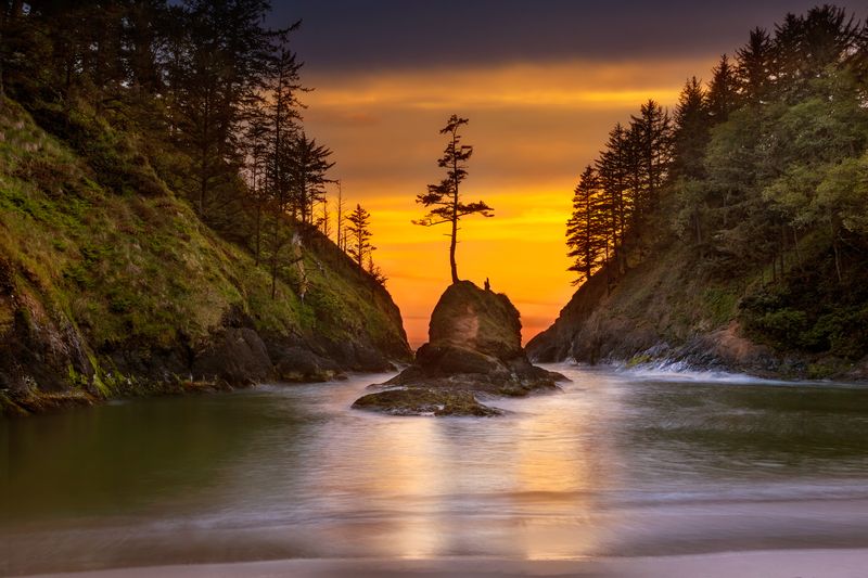 16 Amazing State & National Parks You Need To Visit In Washington State