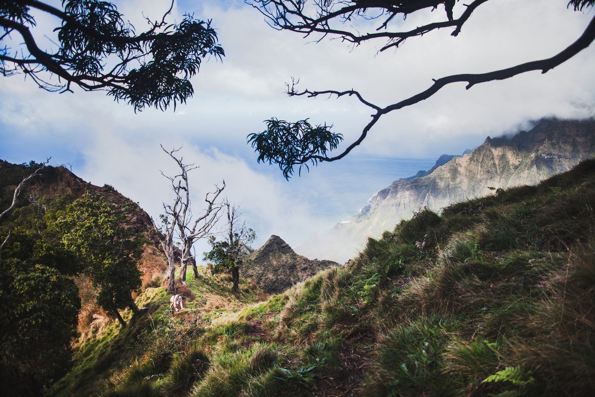 13 Waimea Canyon State Park Trails For All Levels With Stunning views