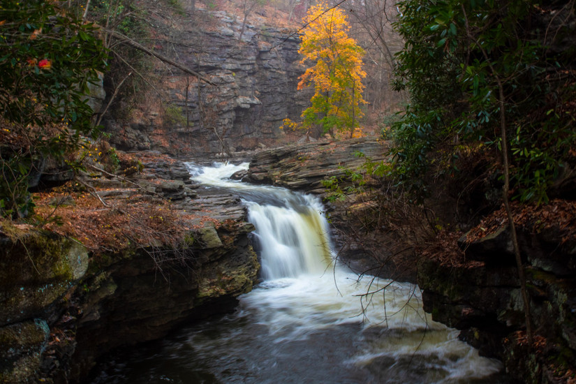 13 Things To Do In Scranton: Complete Guide From The City's Natural ...