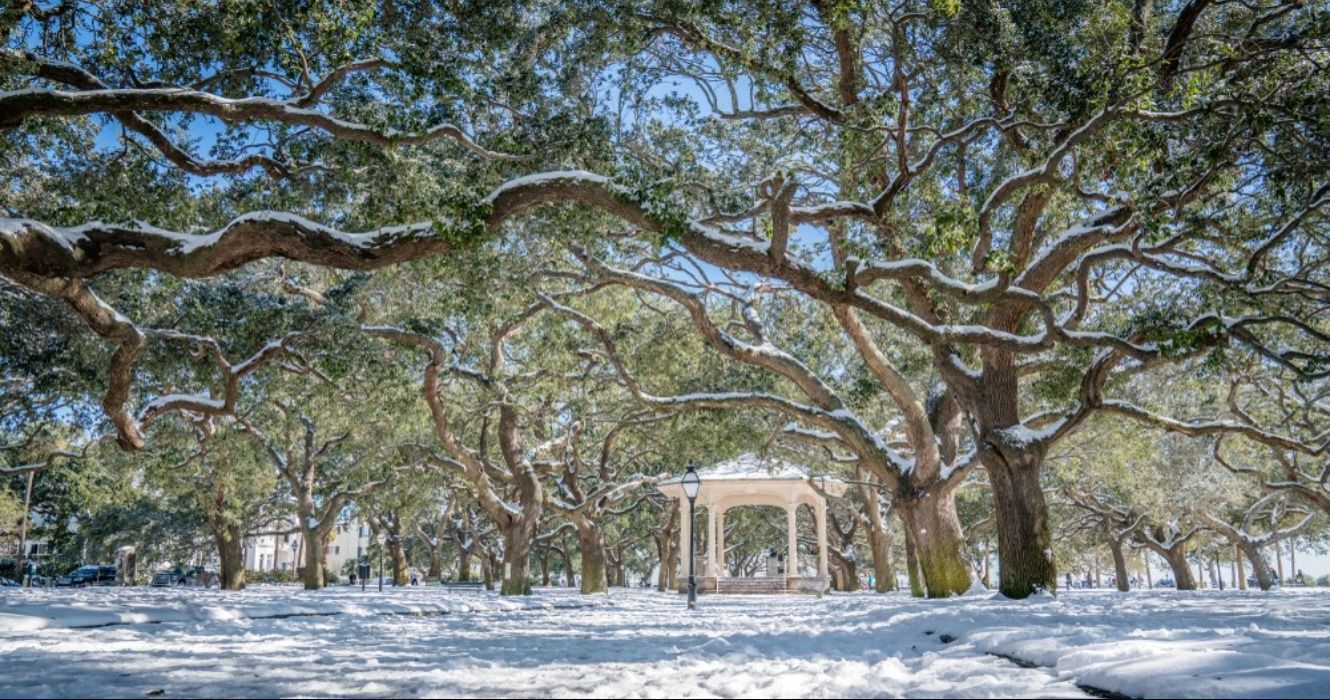 Explore The Serenity And Scenic Splendor Of Charleston's Battery And ...