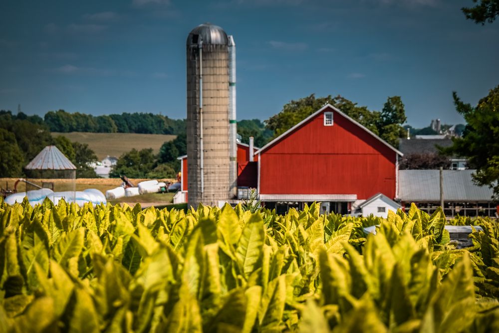 6 Things To Do In Lancaster: Complete Guide To The Amish Capital Of The ...