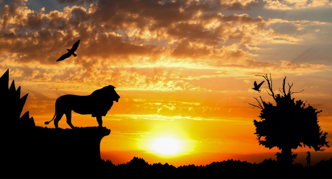 Visit The Famous Lion King Rock In North Carolina's Rough Ridge