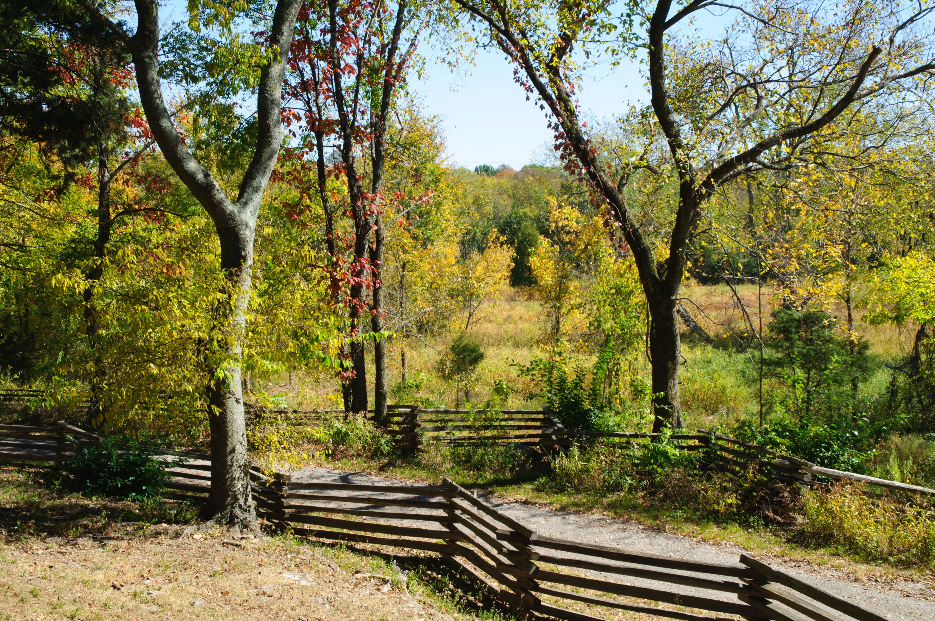 12 Things To Do In Murfreesboro: Complete Guide For A Trip Back In Time