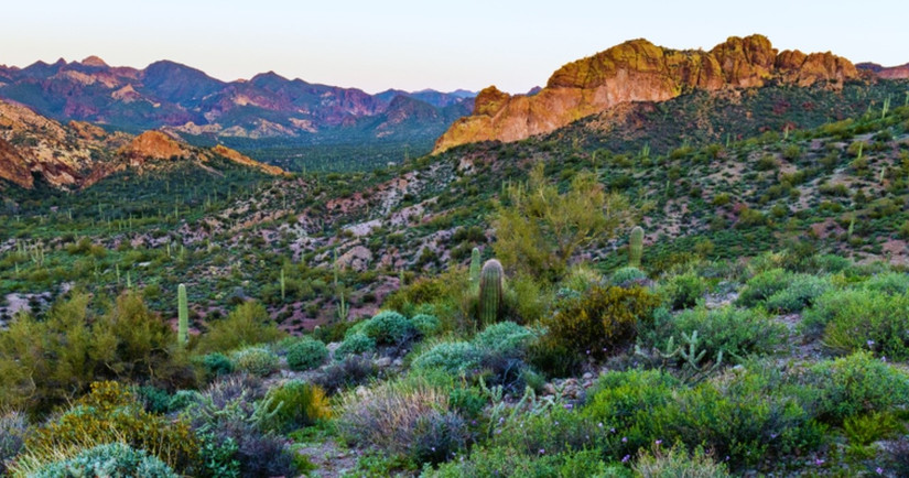 18 Scenic Drives Near Phoenix, Arizona