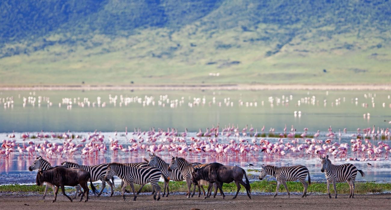 Ngorongoro Crater: How The World's Largest Intact Volcanic Caldera Is ...