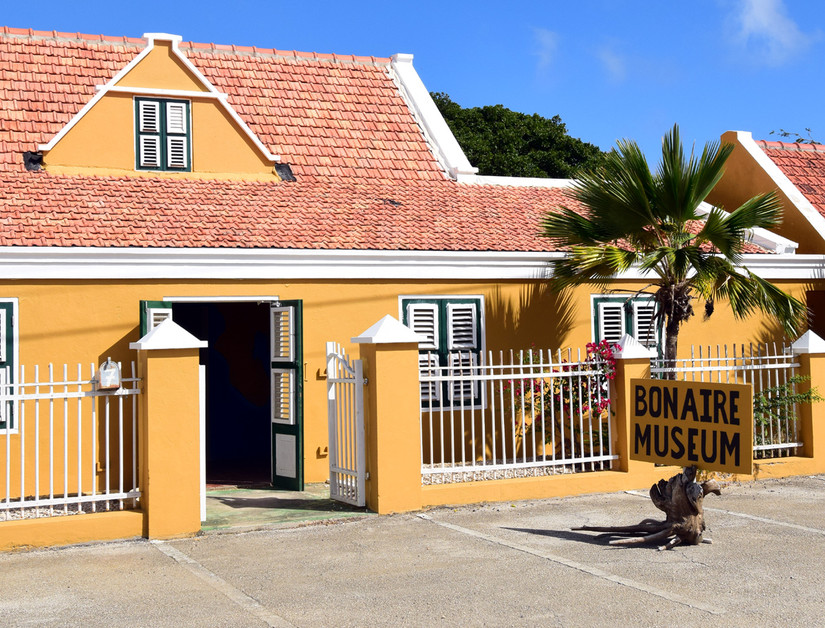 8 Things To Do In Bonaire: Complete Guide To This Scenic Caribbean Island