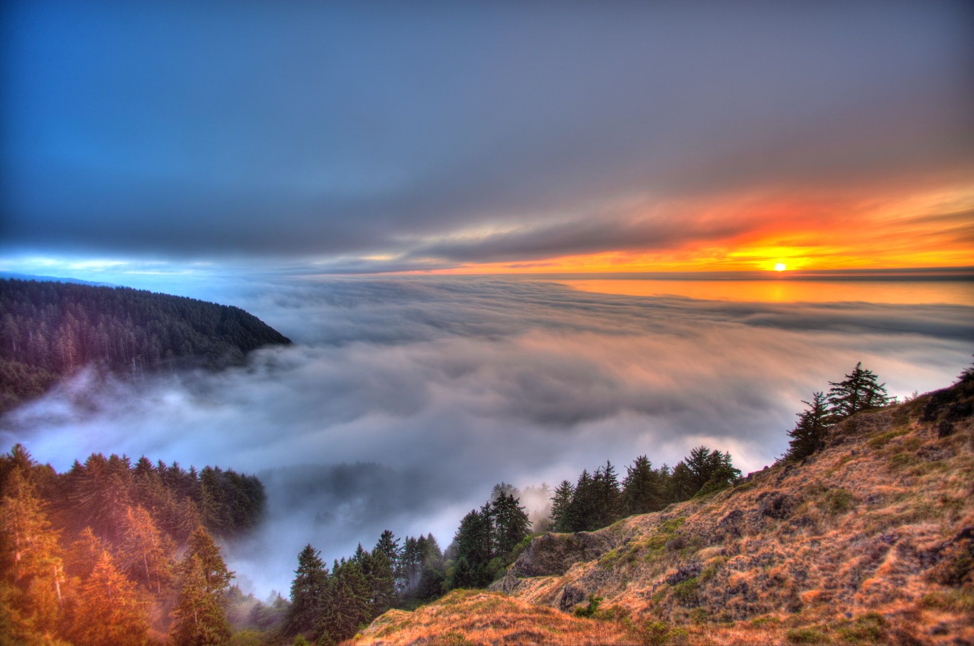 10 Of The Most Beautiful Ocean Overlooks You Can Find In Oregon