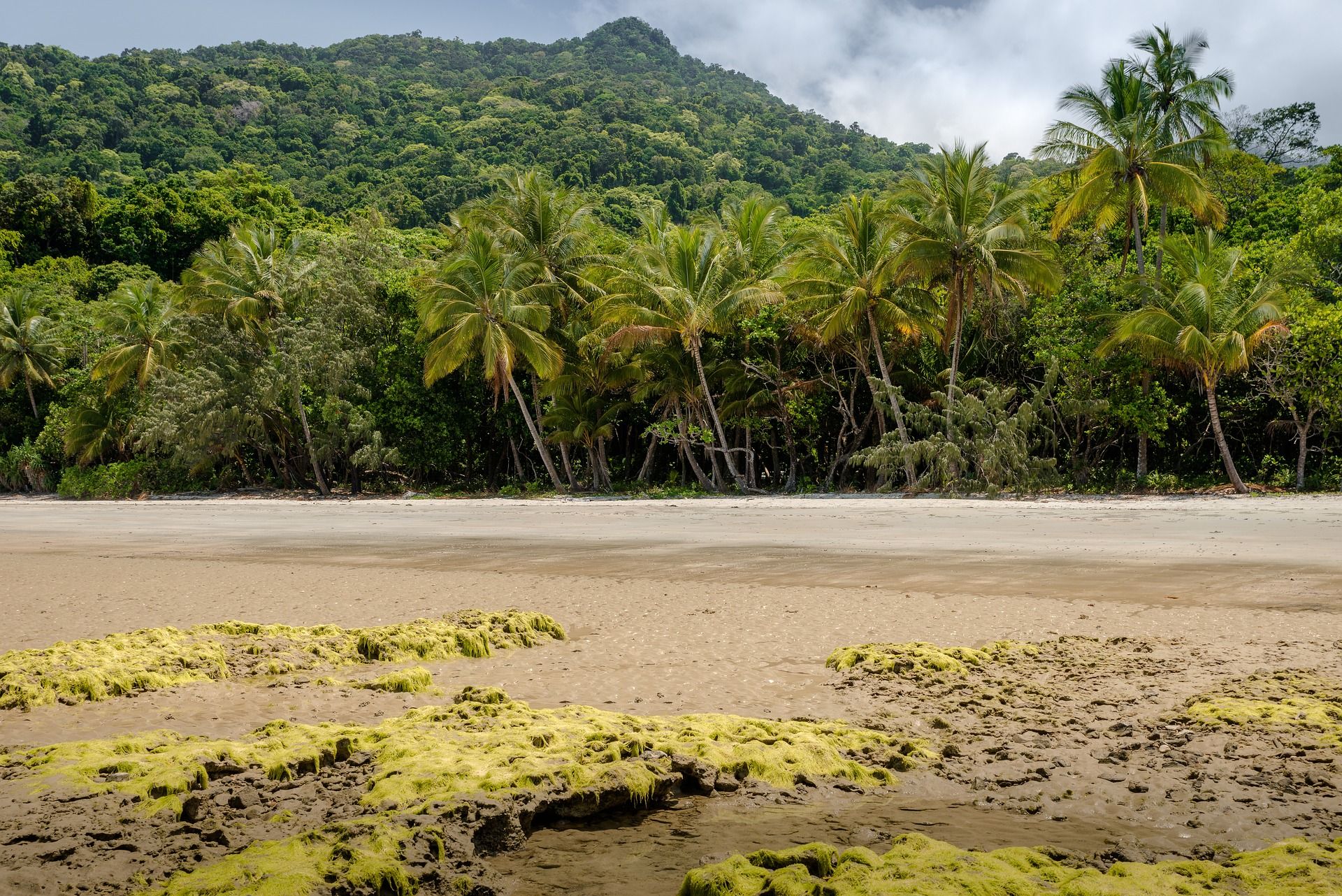 10 Incredible Facts About The Daintree Rainforest You Should Know