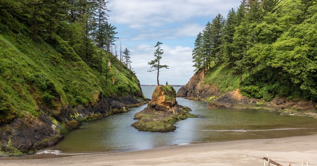 14 Amazing State & National Parks You Need To Visit In Washington State