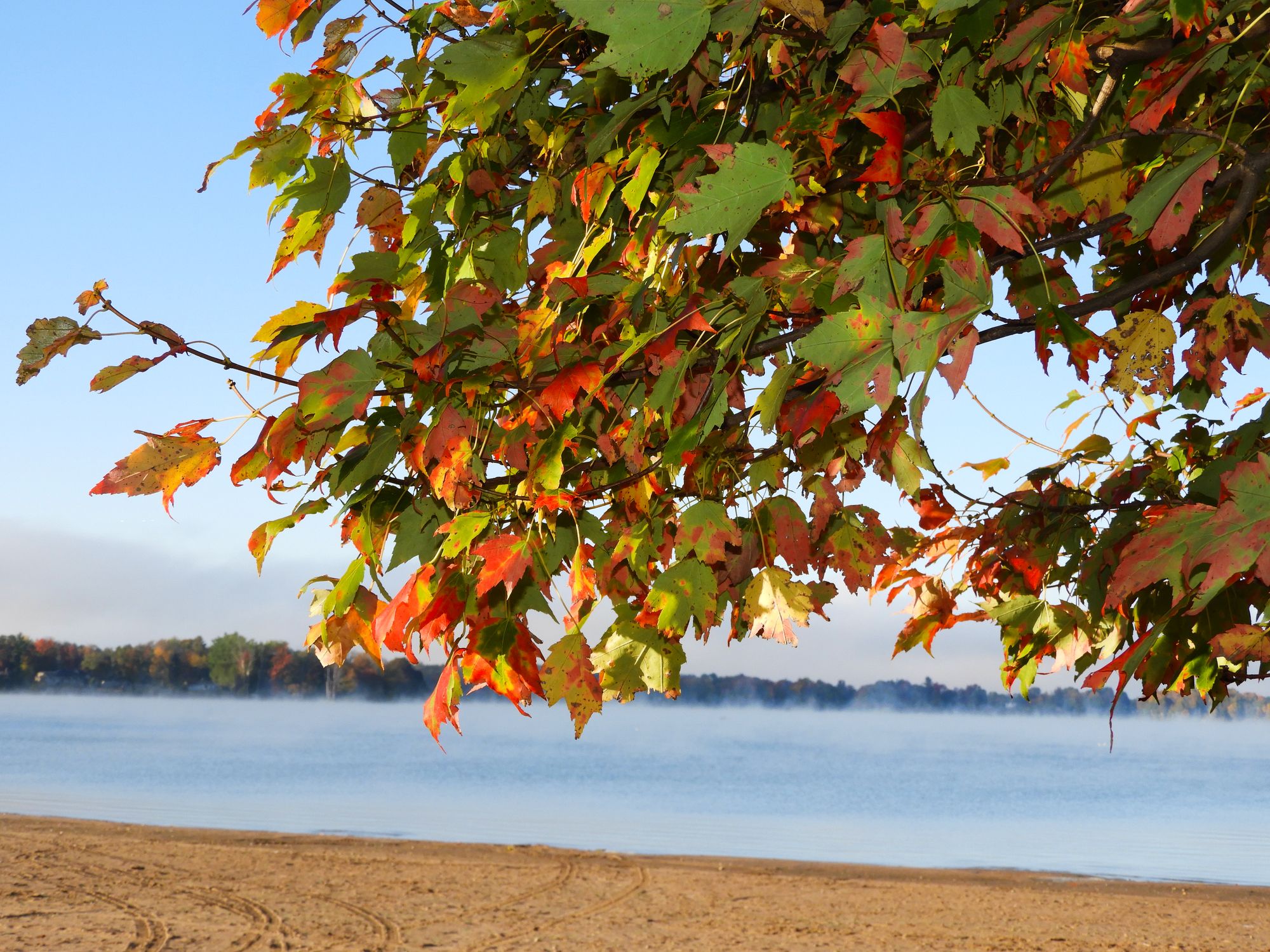10 Best State Parks Near The Finger Lakes For Camping