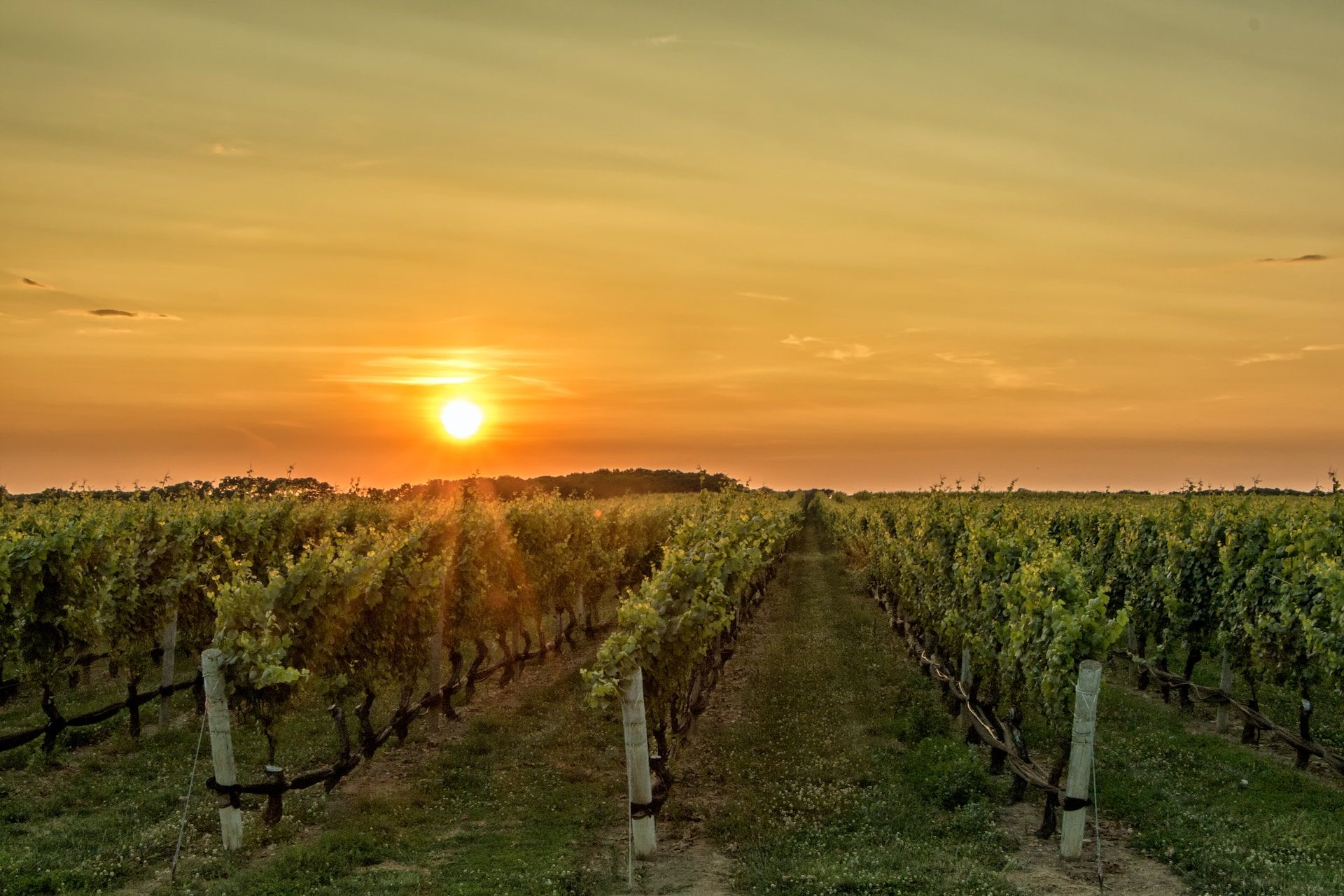 14 Most Beautiful Towns You Should Visit On Long Island