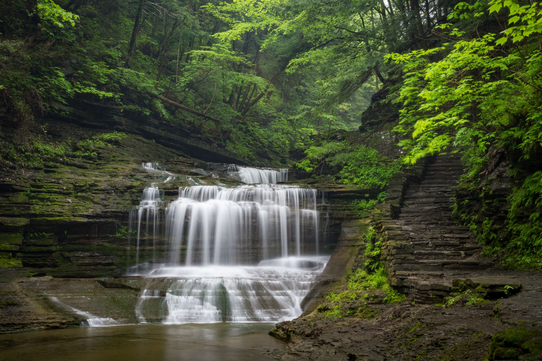 10 Of The Best State Parks Near Syracuse For Hiking & Trail Trekking