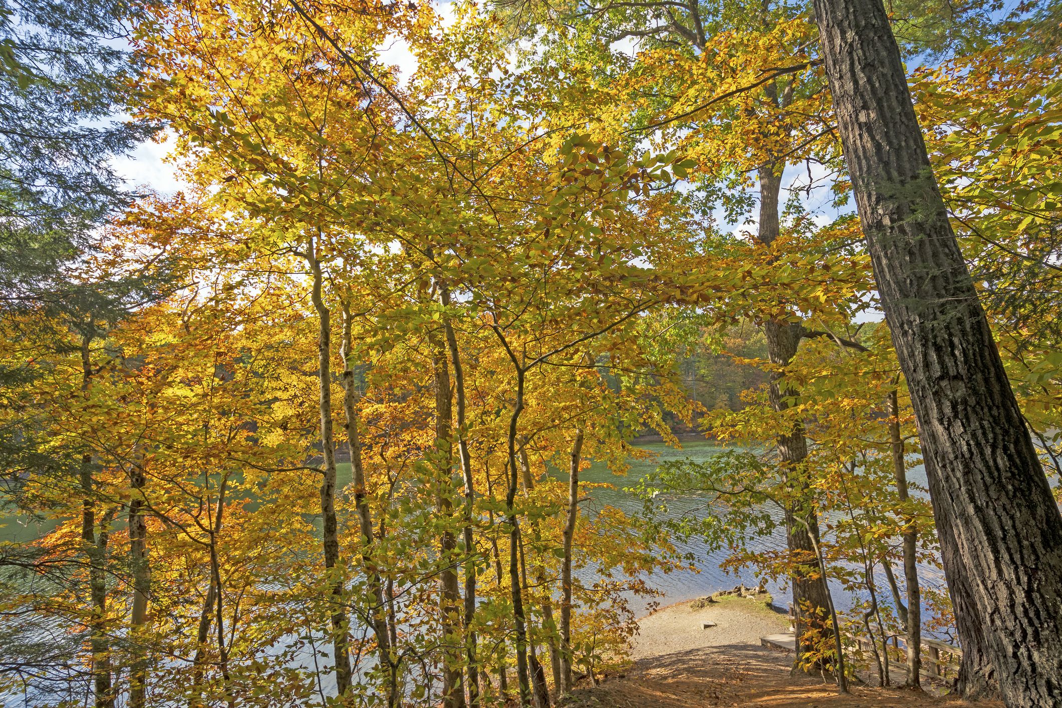 10 Best State Parks To Visit Near Syracuse