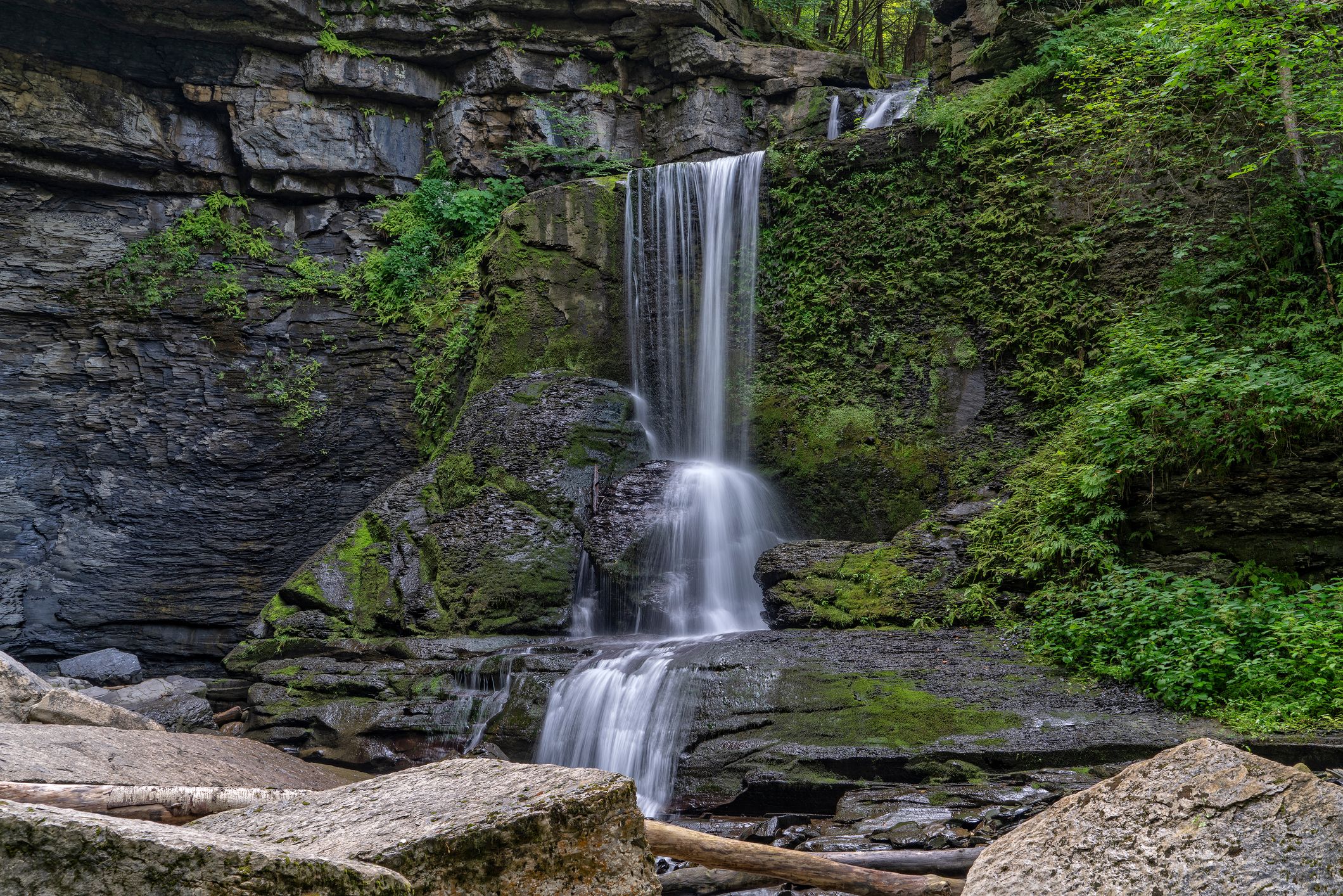 10 Of The Best State Parks Near Syracuse For Hiking & Trail Trekking