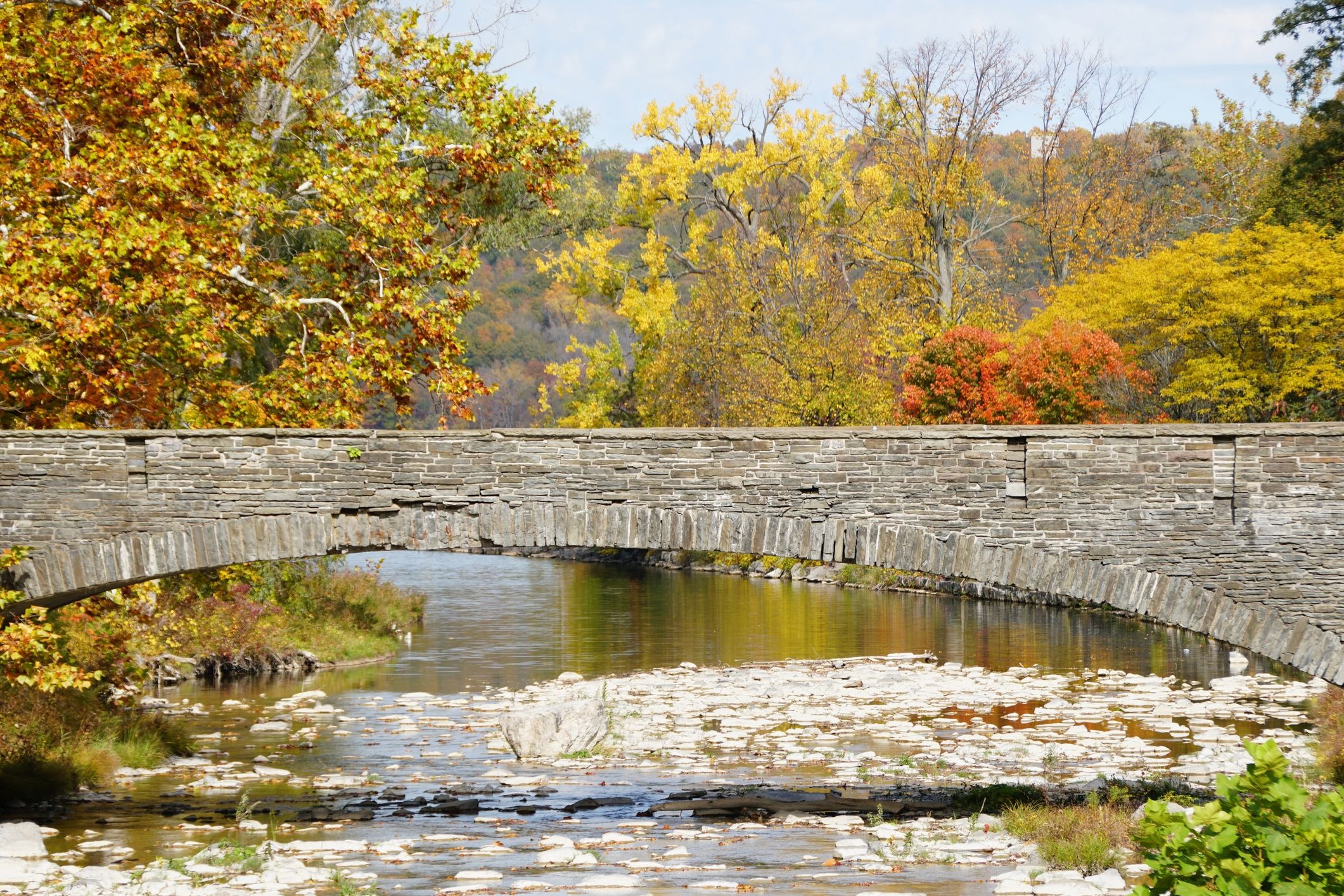 10 Best Cabin Rentals You Can Book In Watkins Glen State Park