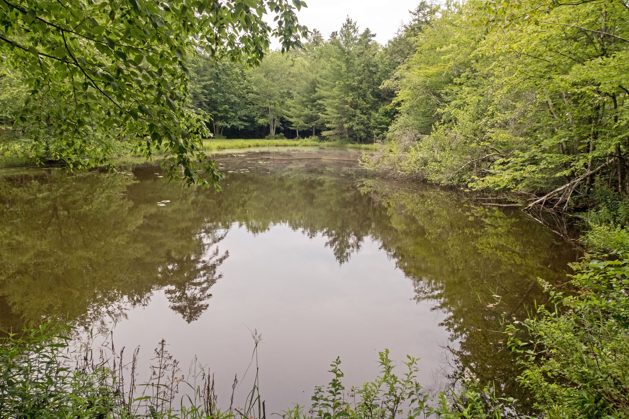 10 Best State Parks To Visit Near Syracuse