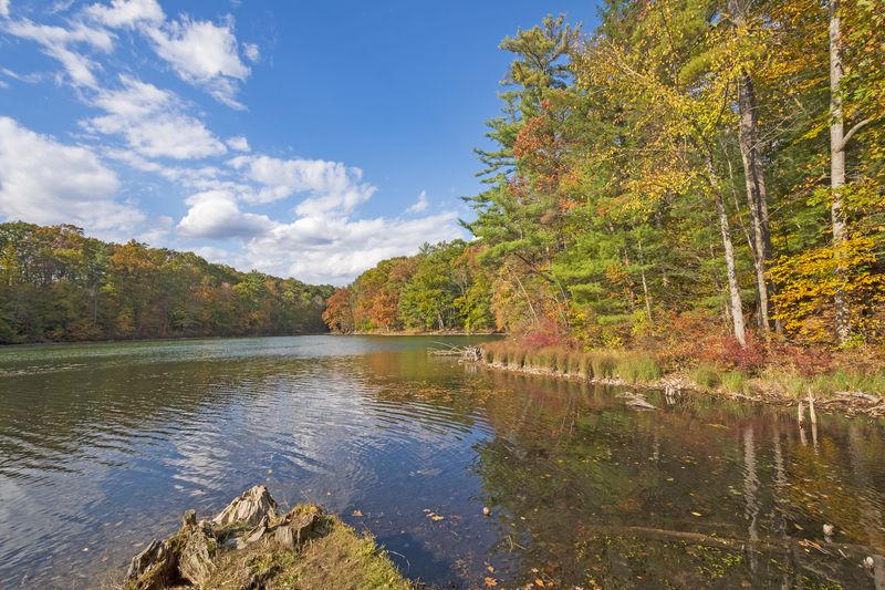 10 Best New York State Parks For A Camping Getaway