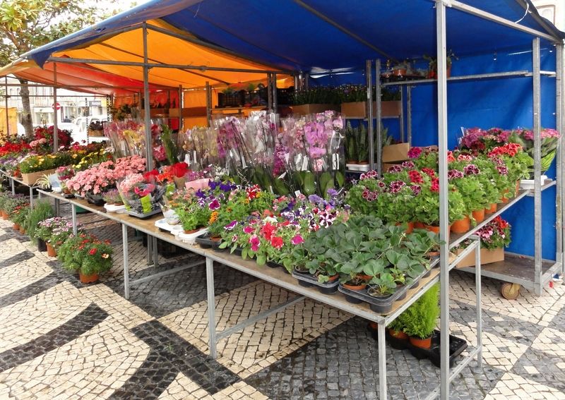 10 Best Markets In Portugal For Food And Souvenirs