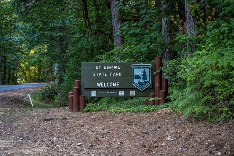 14 Amazing State & National Parks You Need To Visit In Washington State