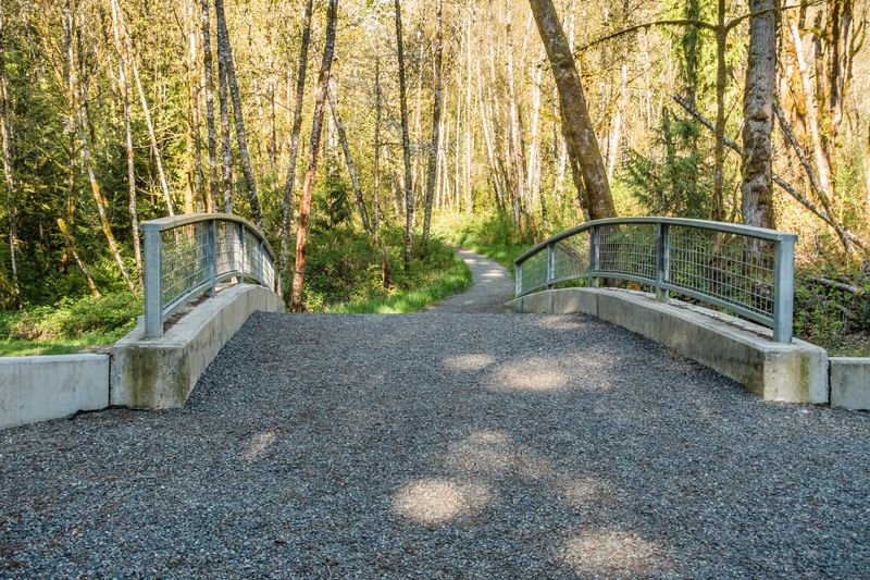 14 Amazing State & National Parks You Need To Visit In Washington State