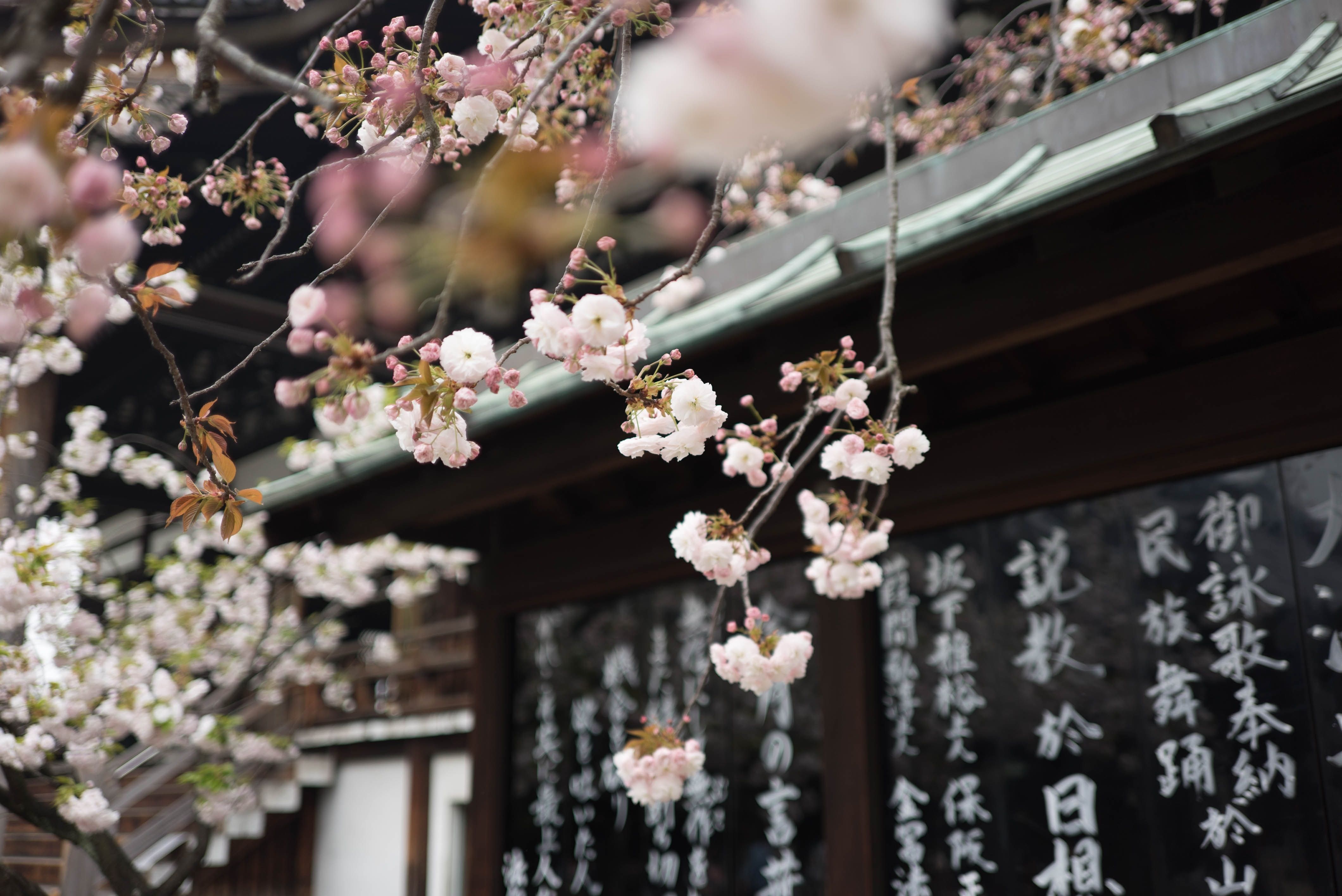 10 Reasons To Book A Trip To Japan's Underrated City Of Urayasu