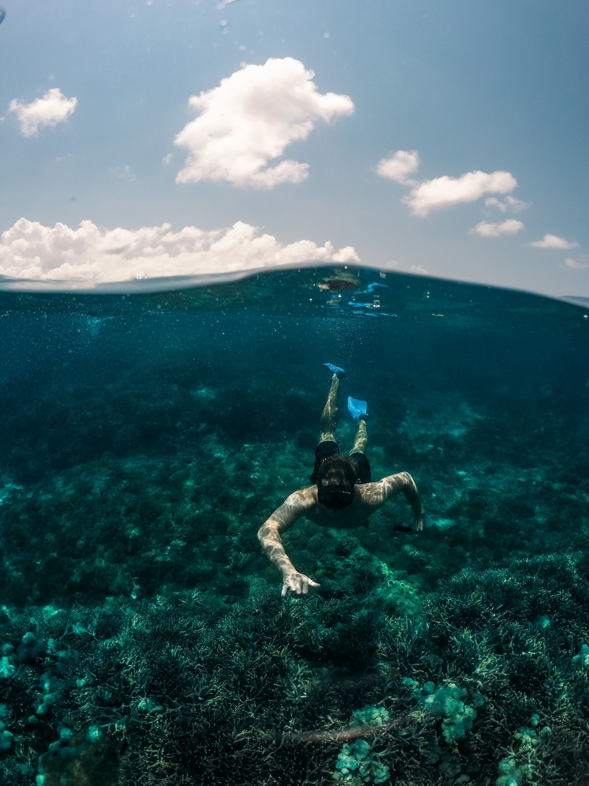 12 All-Inclusive Resorts In Jamaica Worth Every Penny