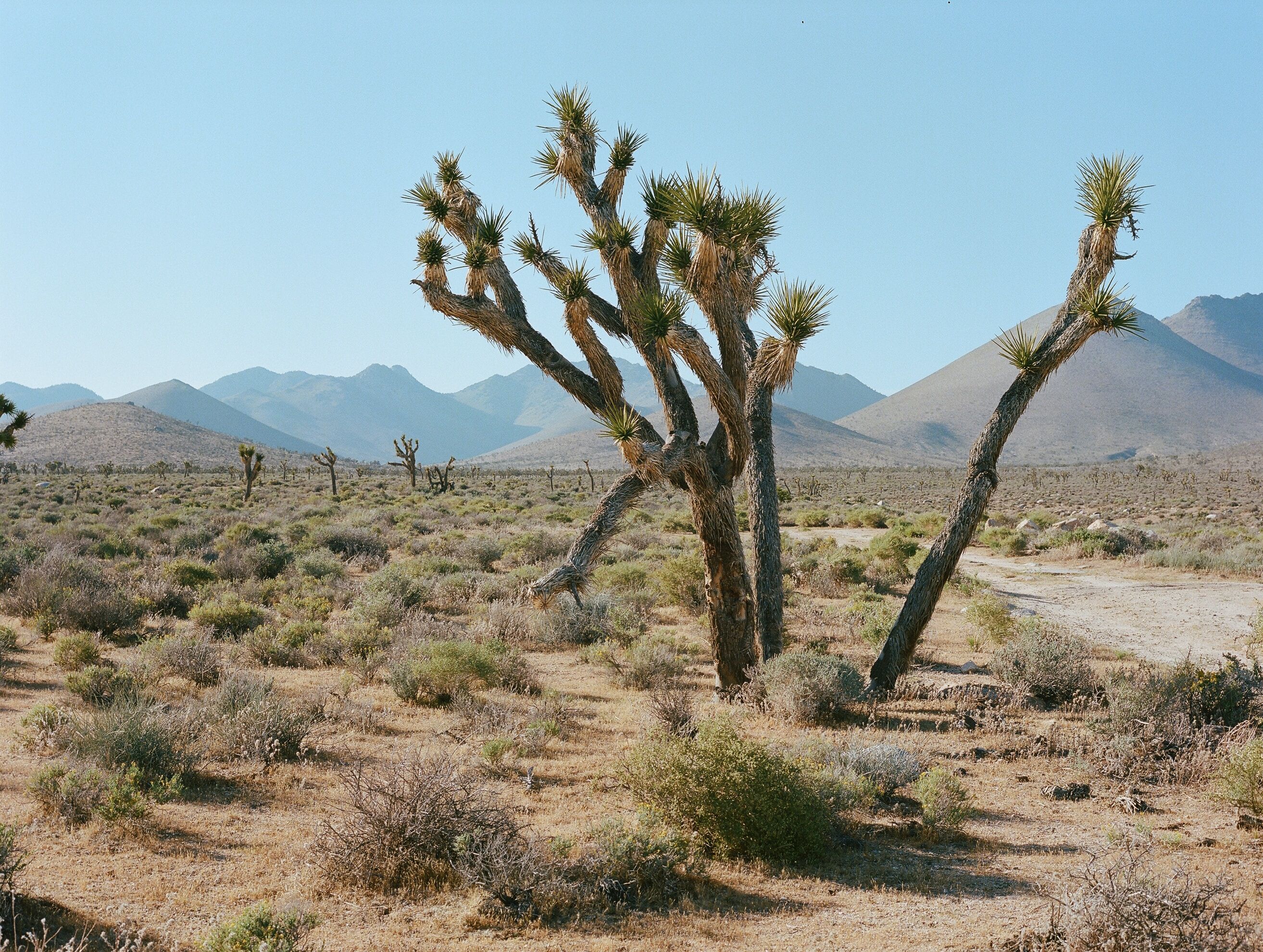 10 Things To Do In The Death Valley National Park Region: Complete ...