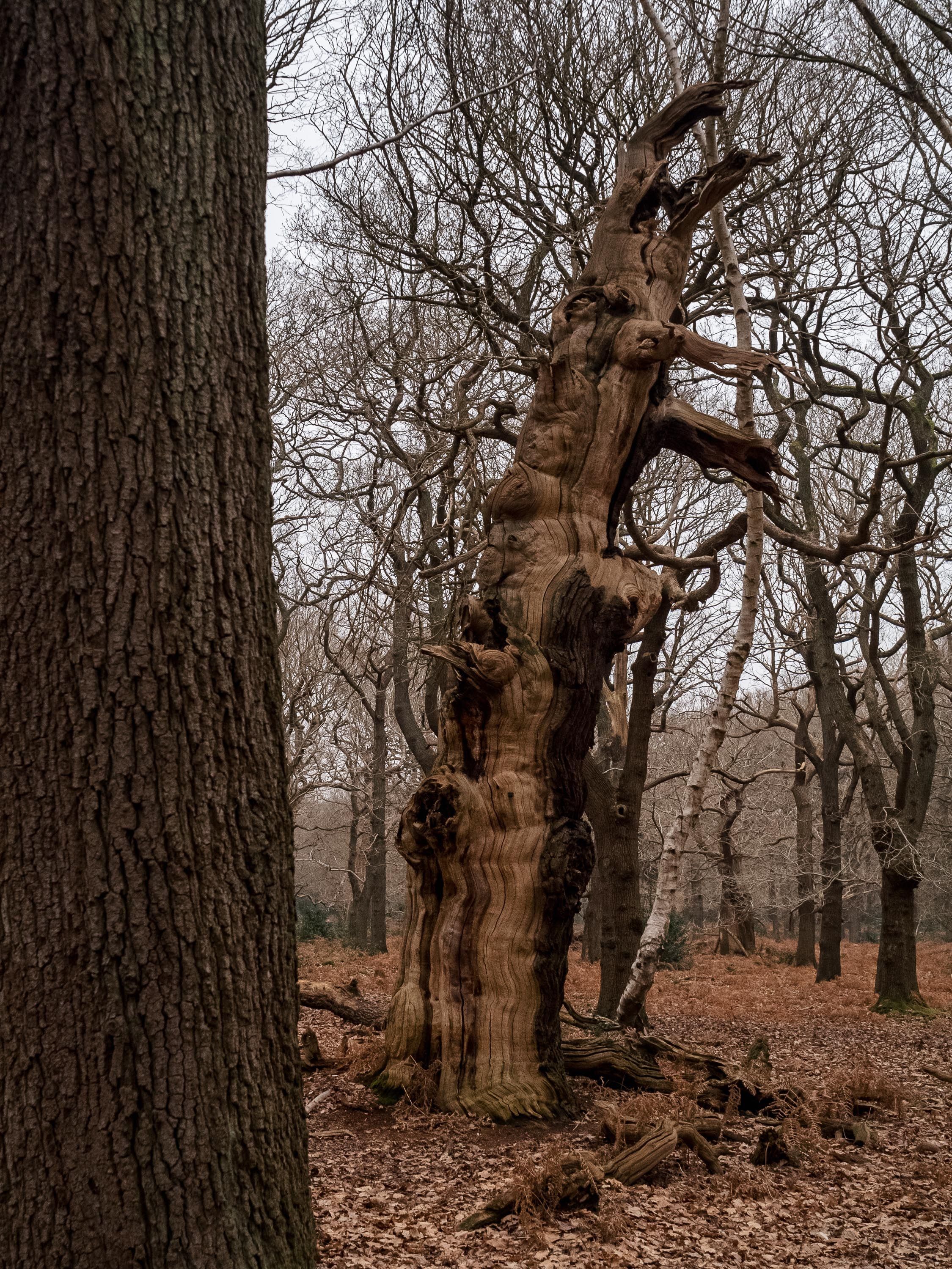 10 Mythical Places Around The World And The Amazing Stories Associated ...