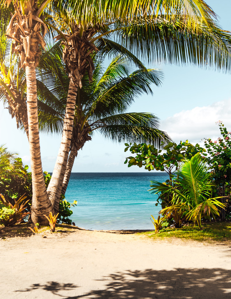 10 Most Beautiful Parks You Should Visit On Long Island