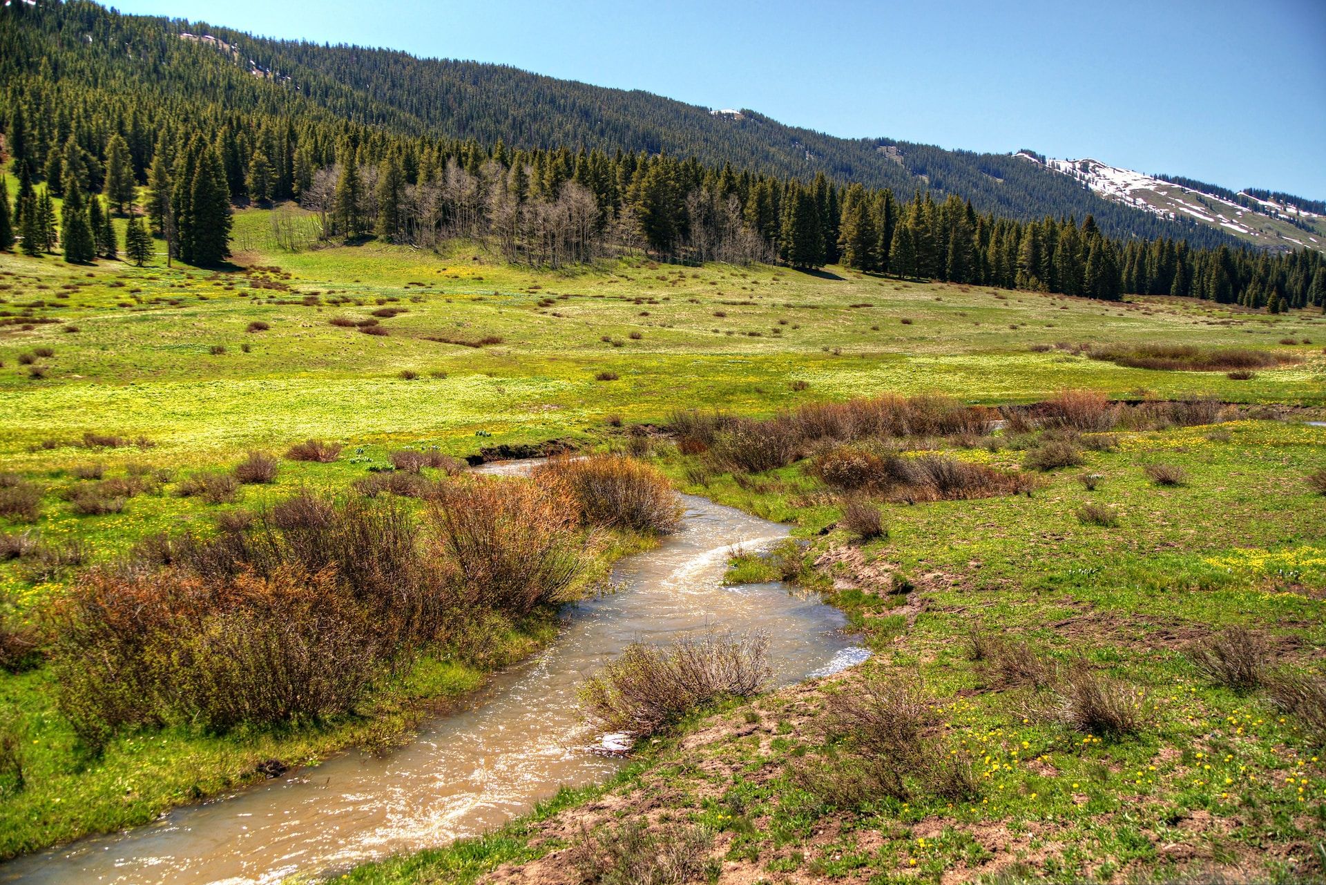 10 Things To Do In Crested Butte: Complete Guide To The Last Great Ski ...