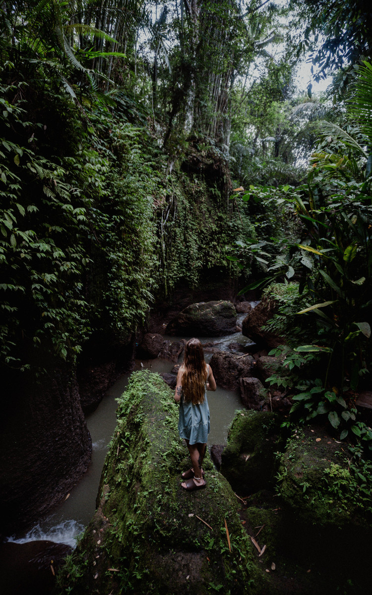 10 Incredible Facts About The Daintree Rainforest You Should Know