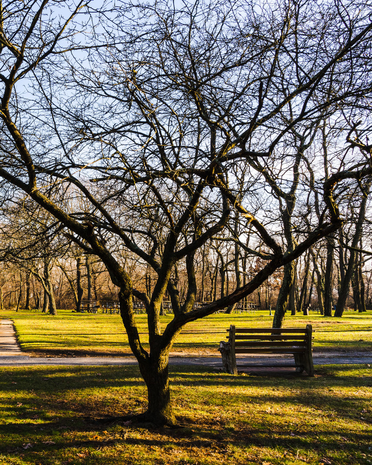 10 Most Beautiful Parks You Should Visit On Long Island