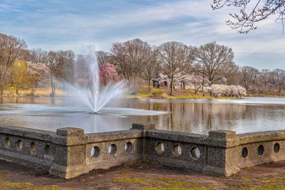 10 Best Neighborhoods To Visit In Newark New Jersey