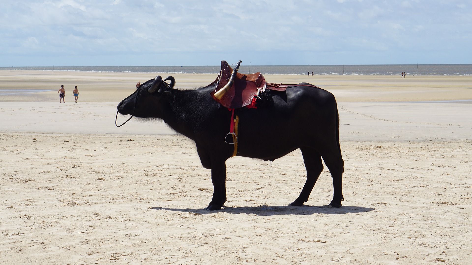 10 Most Beautiful Islands In Brazil That You Should Be Visiting Next