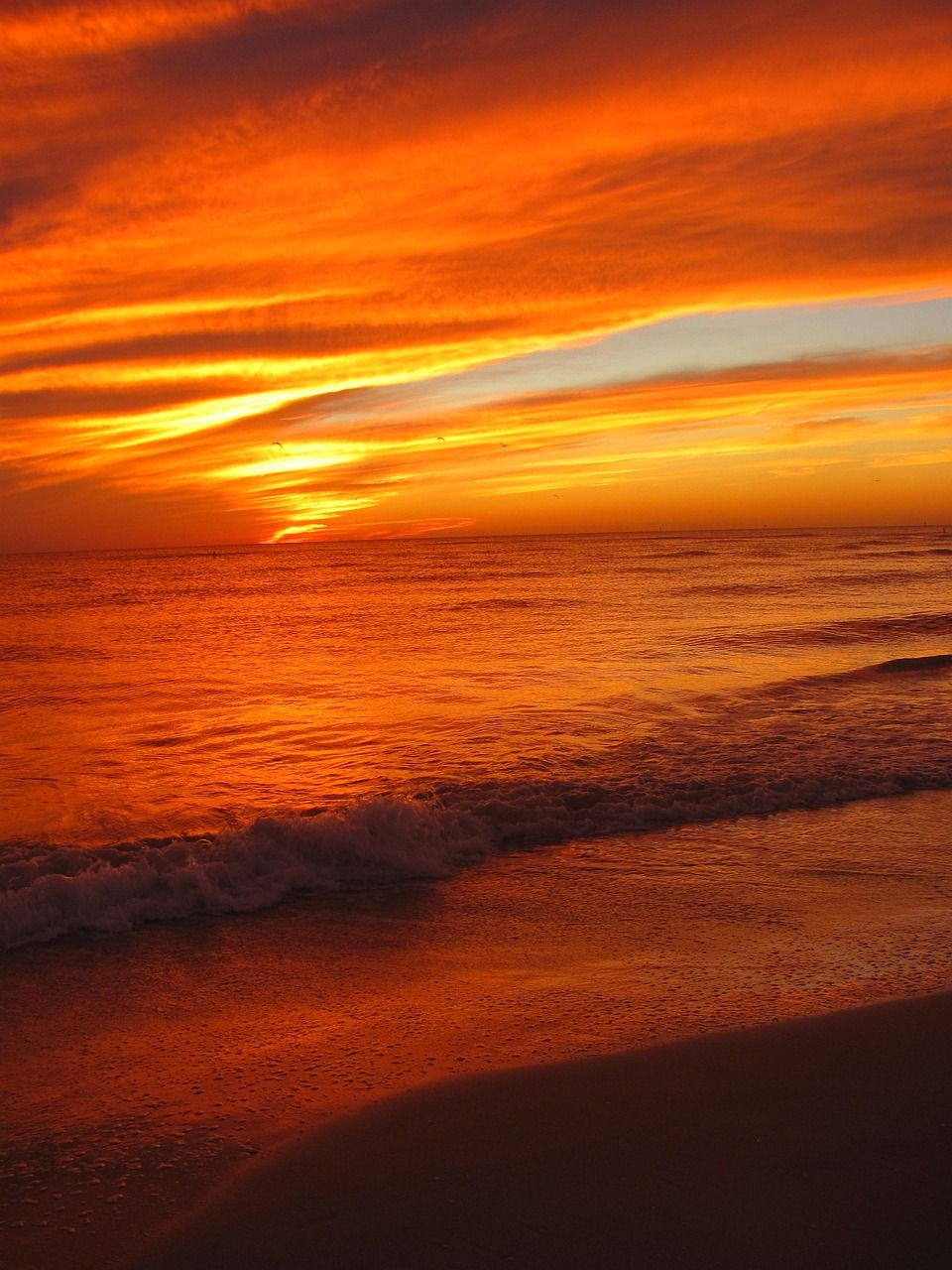 10 Best Florida Beach Resorts For A Winter Escape