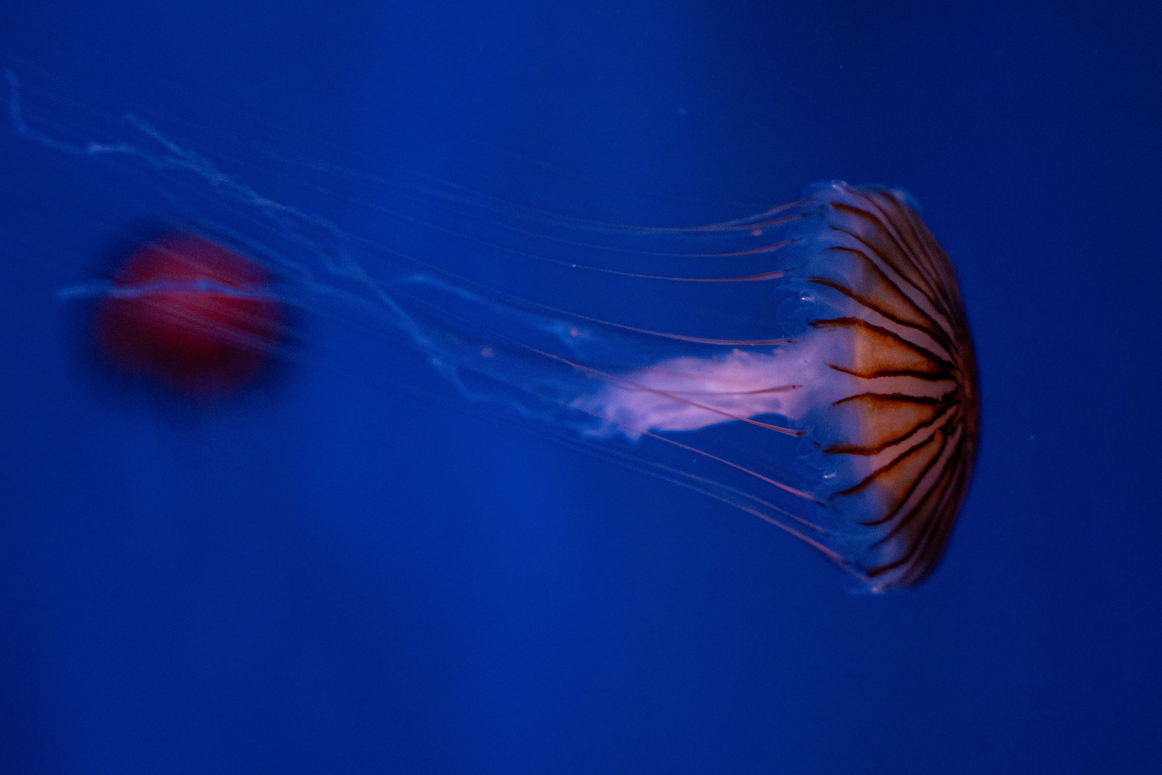 8 Things To Do In Genoa: Complete Guide To This Stunning Maritime Port City