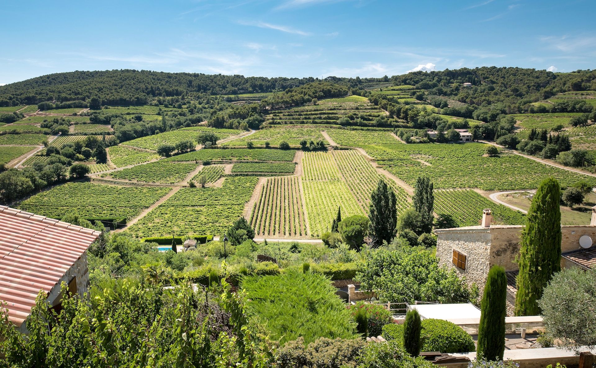 10 Of The Most Beautiful Vineyards In The Whole World