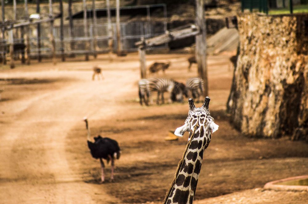 10 Things To Do In Mérida: Complete Guide To This Beautiful Yucatán Capital