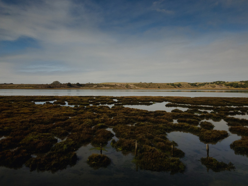 Amtrak Starlight: 10 Things To Know About This Scenic Pacific Coastal Route
