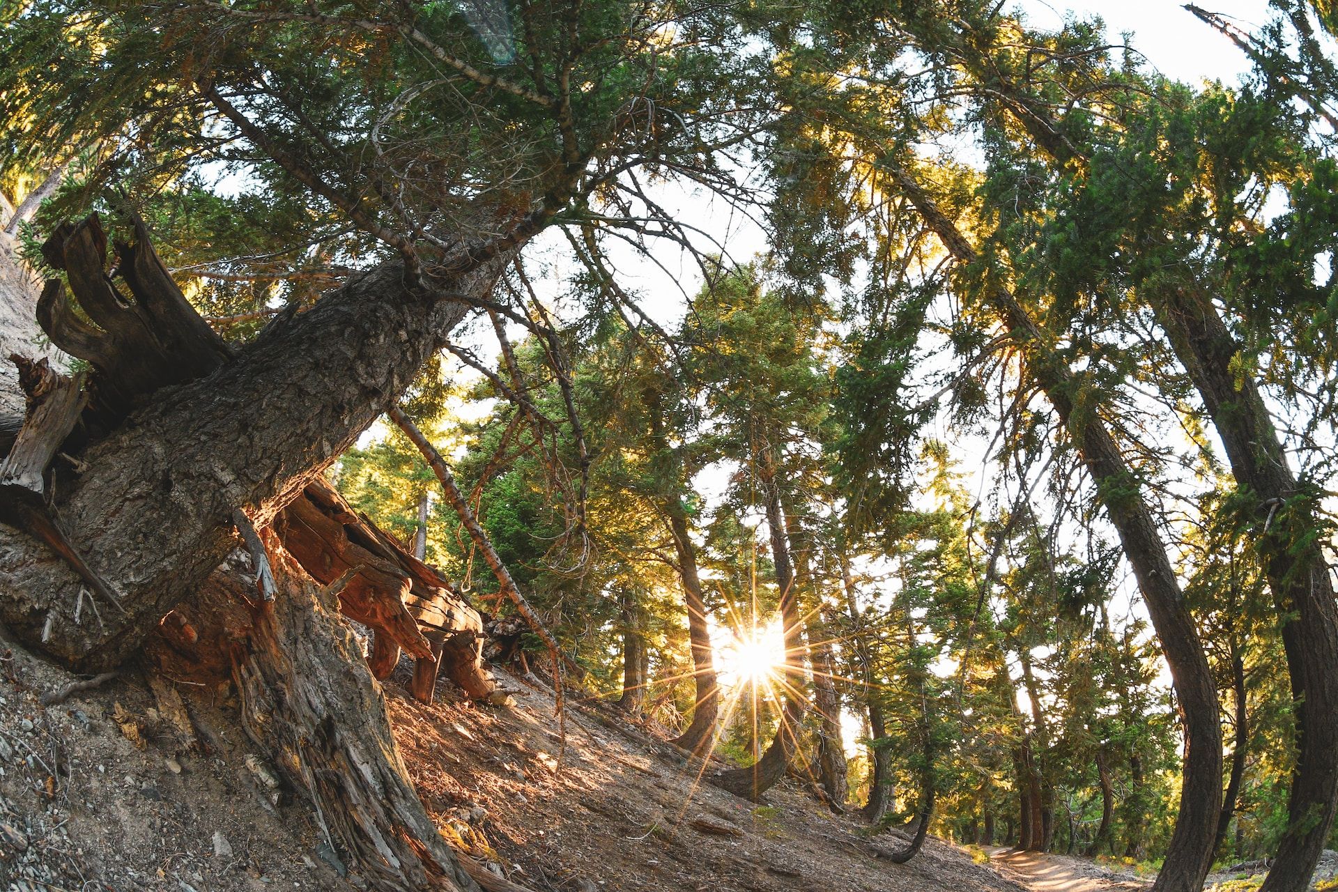 14 Charming Towns In California That Boast Gorgeous Views Of The Sierra ...