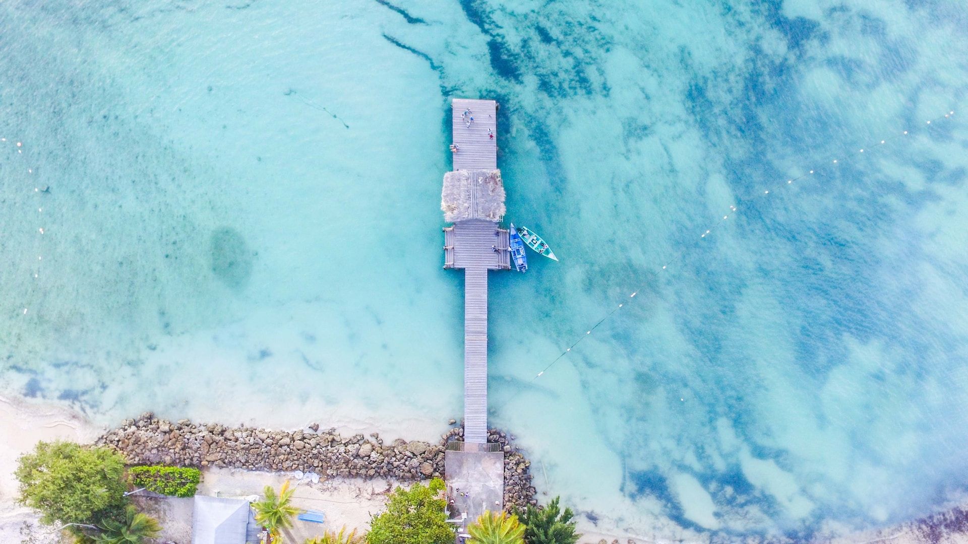 10 Things To Do In Tobago: Complete Guide To This Tropical Biodiverse ...