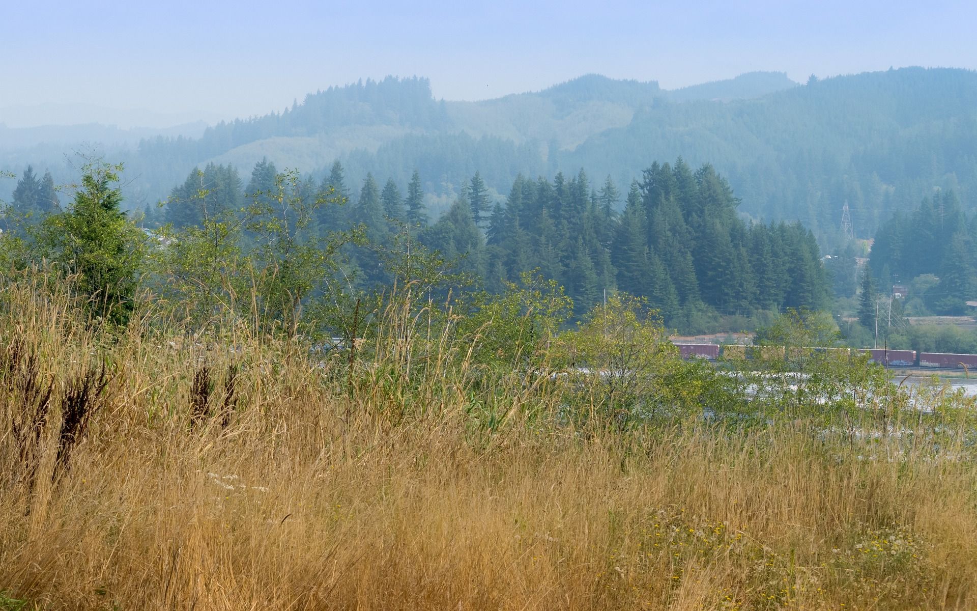 10 Hotels In Eugene, Oregon To Stay At In The Fall And Delight In ...