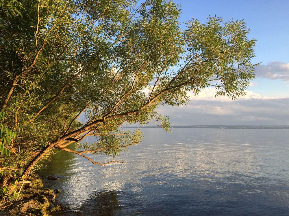 Camping At The Finger Lakes: 10 Best State Parks With Cabin Rentals