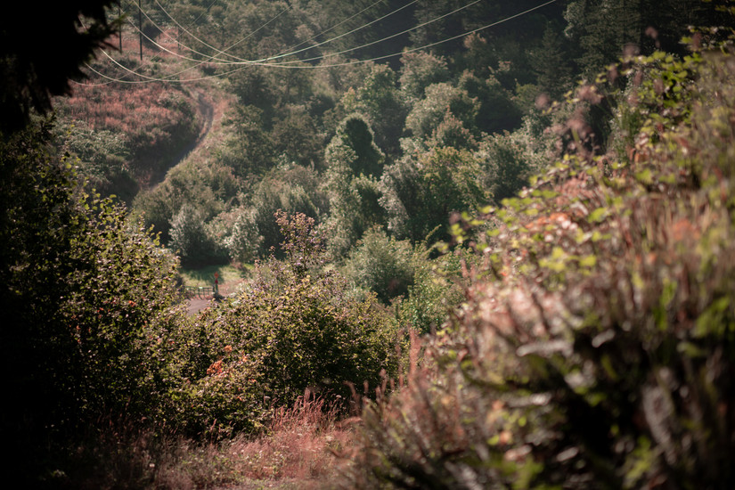 15 Things To Do In Eugene Complete Guide To A Surprising Oregon Gem