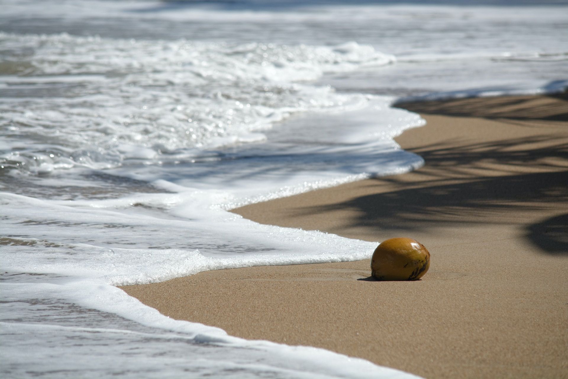 10 Things To Do In Tobago: Complete Guide To This Tropical Biodiverse ...