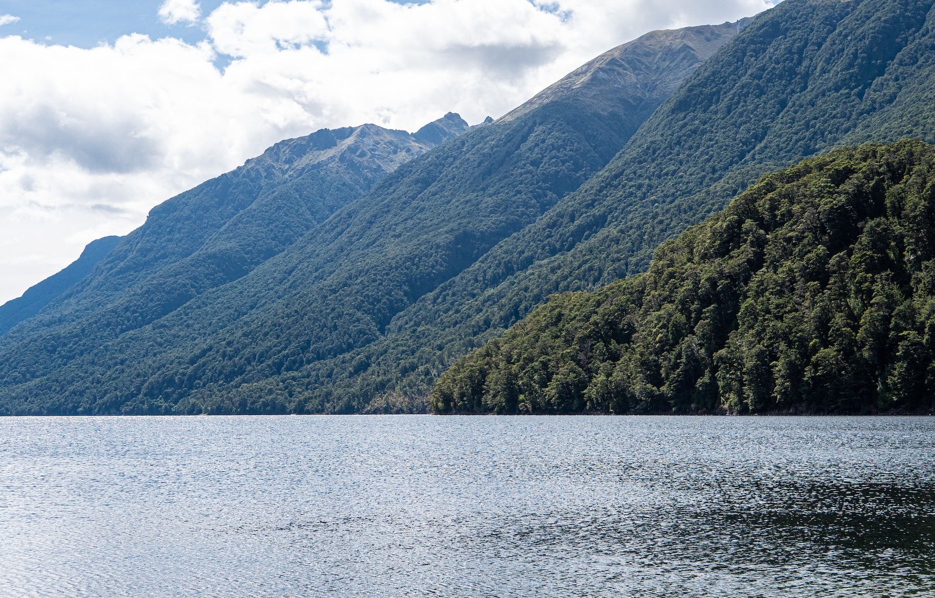 10 Stunning Fiords Tucked Away In New Zealand's Largest National Park