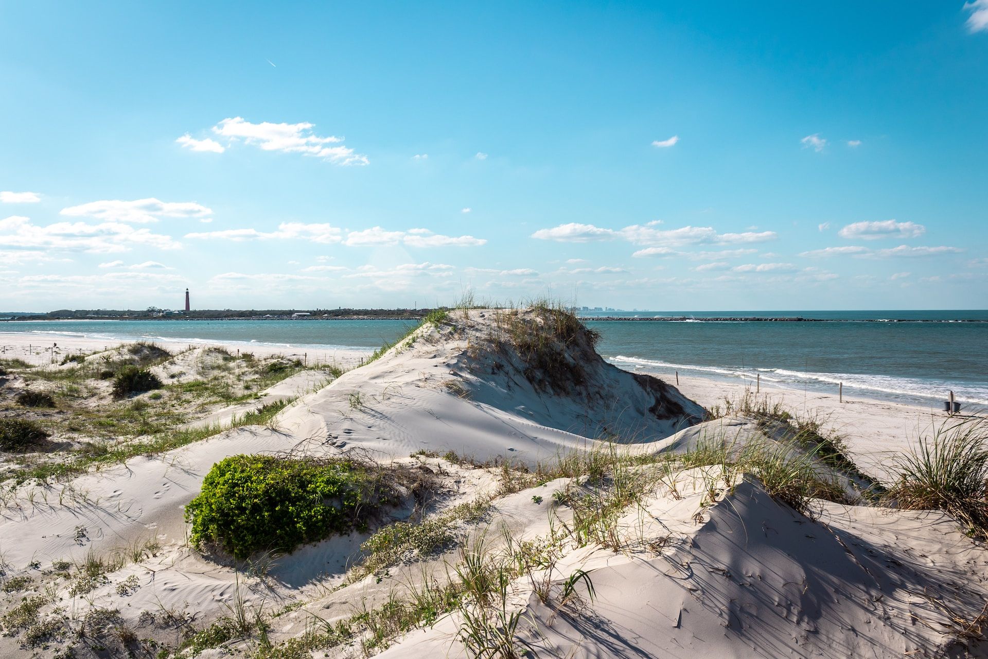 Pup-Approved: 10 Best Dog-Friendly Beaches In Florida