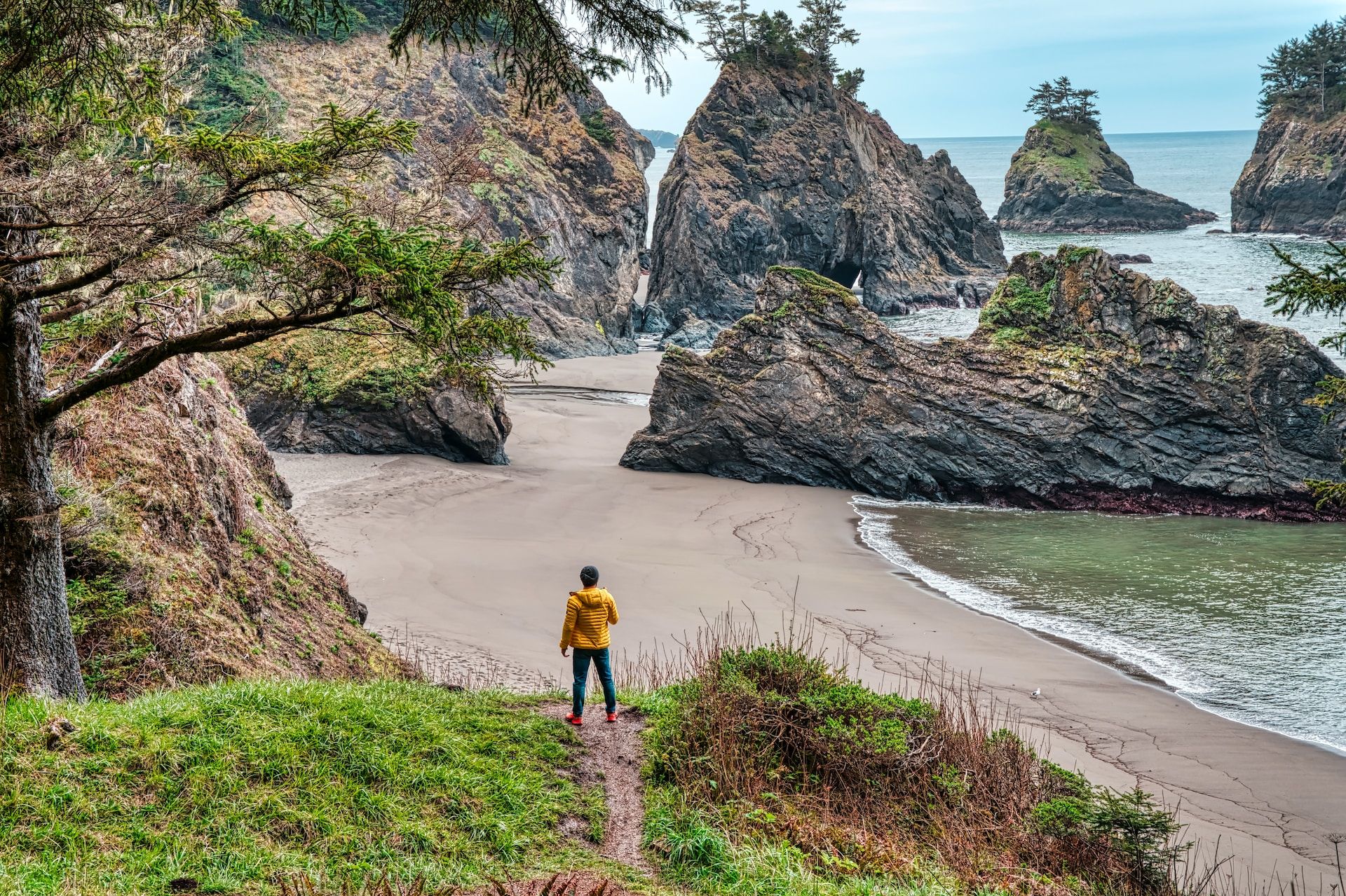 Skip San Francisco: This Overlooked Oregon Town Has Redwoods, Beaches ...