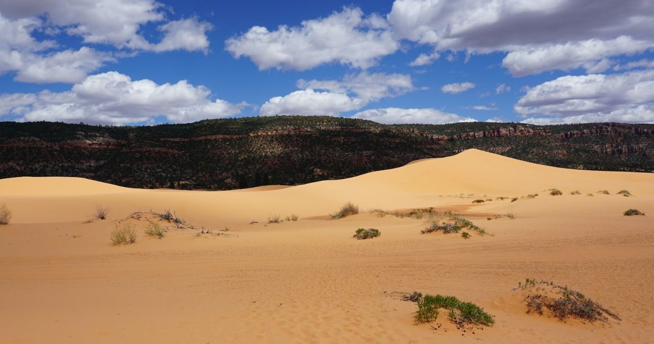 What To Know Of Utah's Coral Pink Sand Dunes State Park (& Why It's ...